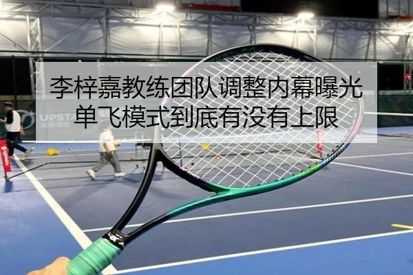李梓嘉教练团队调整内幕曝光 单飞模式到底有没有上限 - 开云